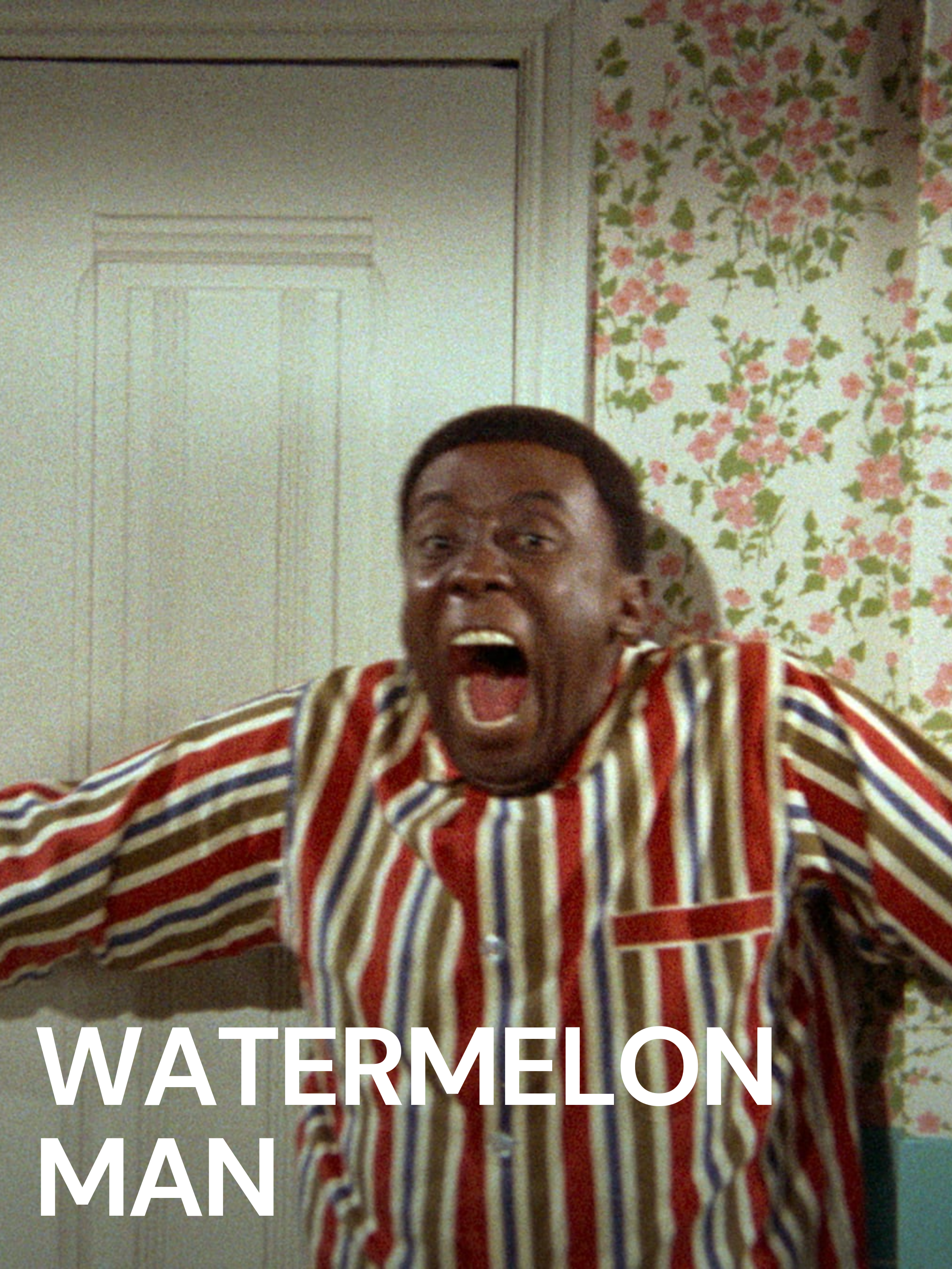 Watermellon Man Original Movie