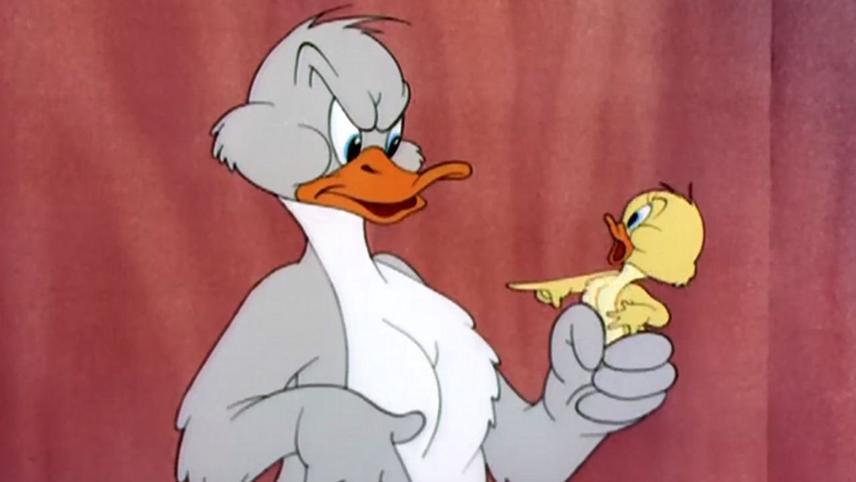 Quacker Tom And Jerry Downhearted Duckling (Short 1954) IMDb