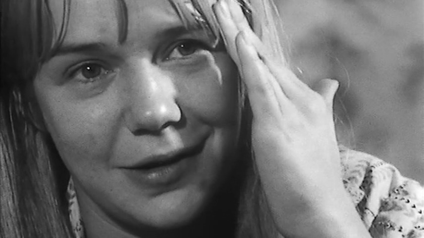 Anne Hardcastle's Instagram, Twitter & Facebook on IDCrawl