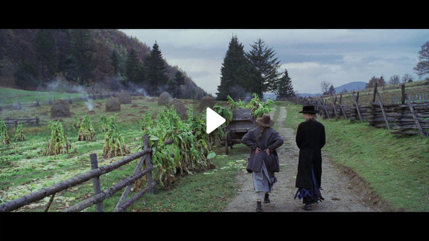 Cold Mountain Movie Cast