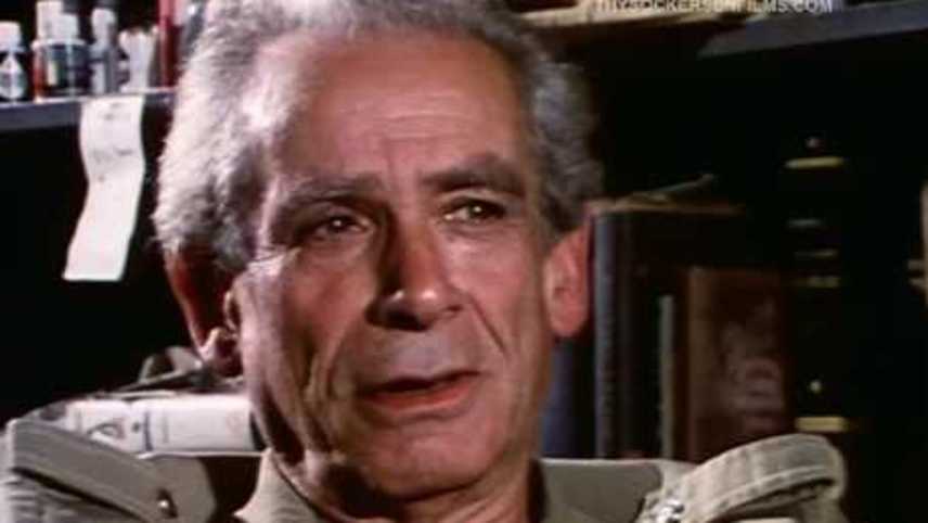 Sam Fuller and the Big Red One (1984) – MUBI