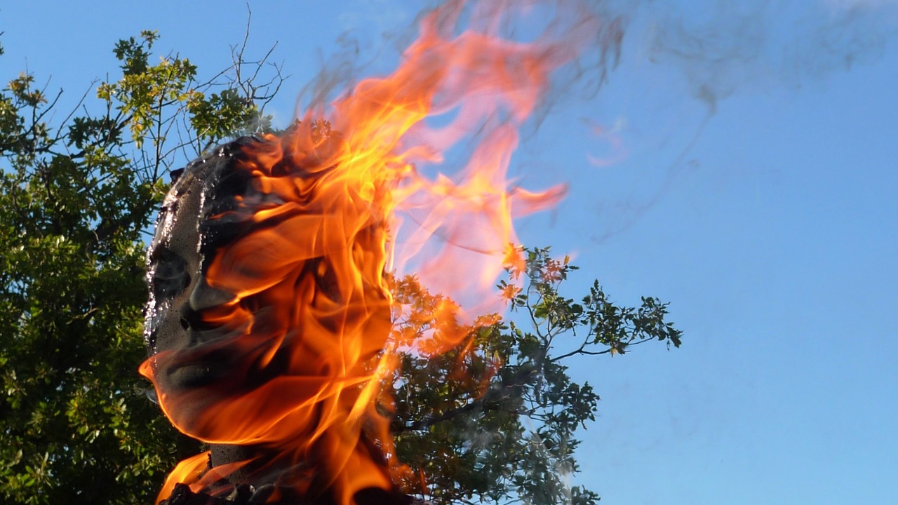 Luc Moullet – Films, Biographies et Listes sur MUBI