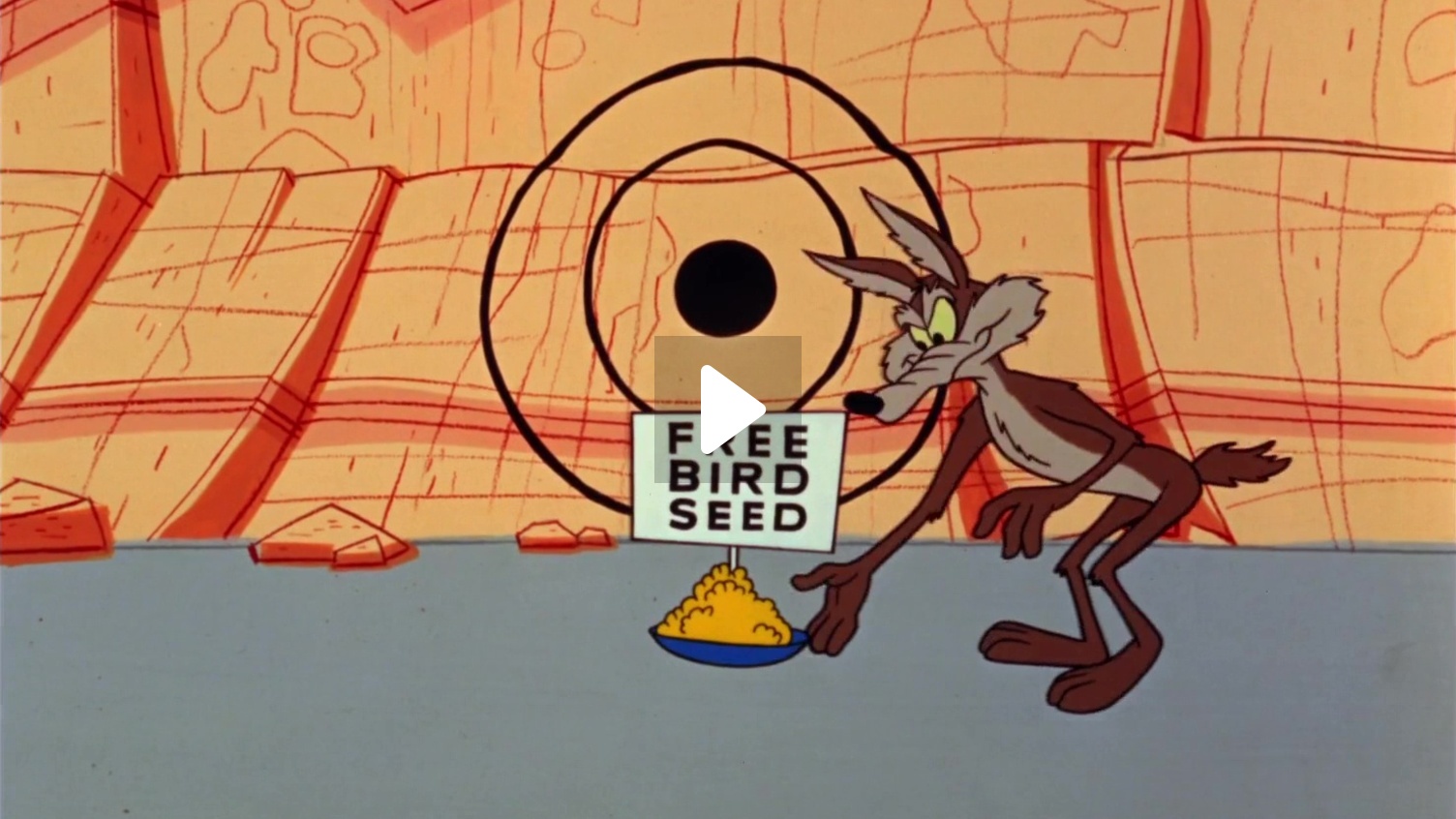 Road Runner Coyote Tnt