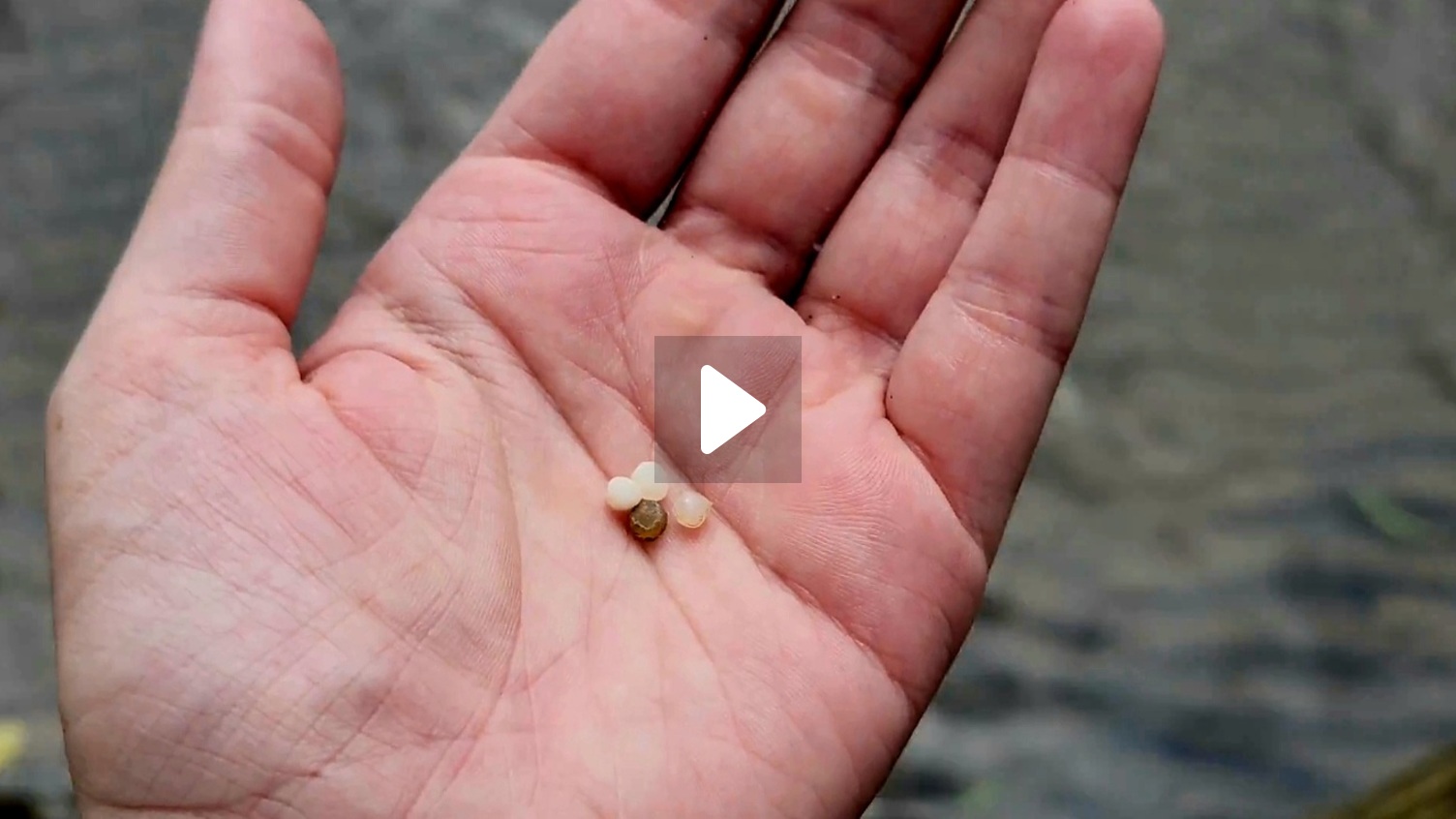 Clean Water Documentary