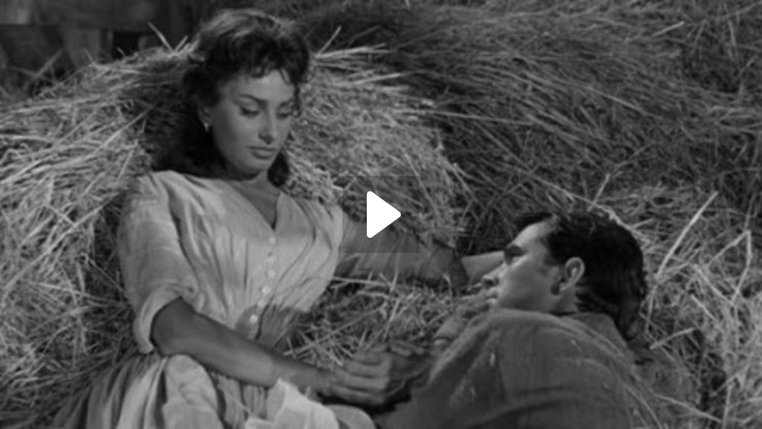 Desire Under The Elms Sophia Loren