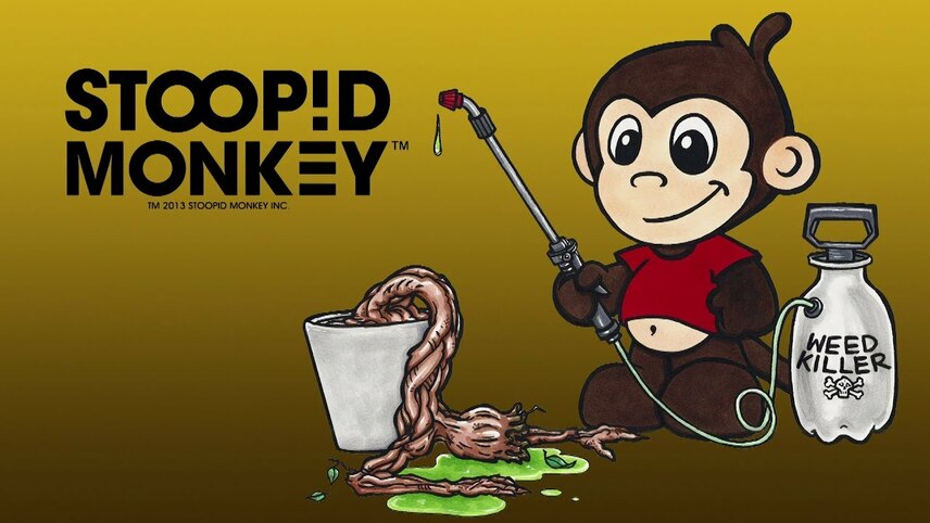 Stoopid Monkey Productions