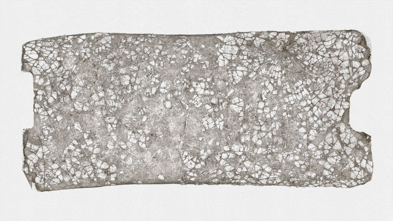 As Ruinas Do Filme Videiras O Artista De "Alien" E O Filme Que