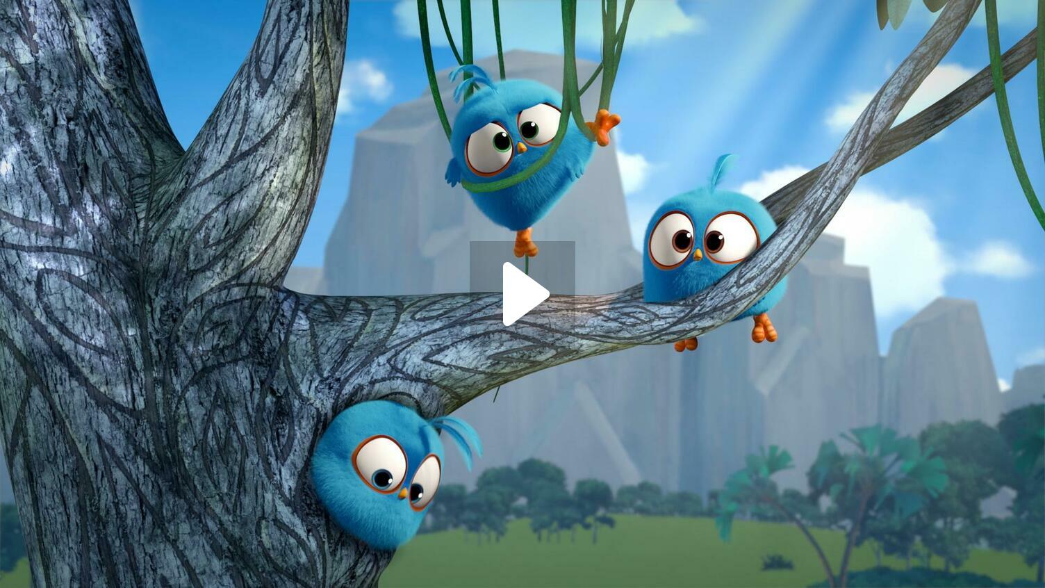 Angry Birds Desenhos Animados Cordon Bleugh