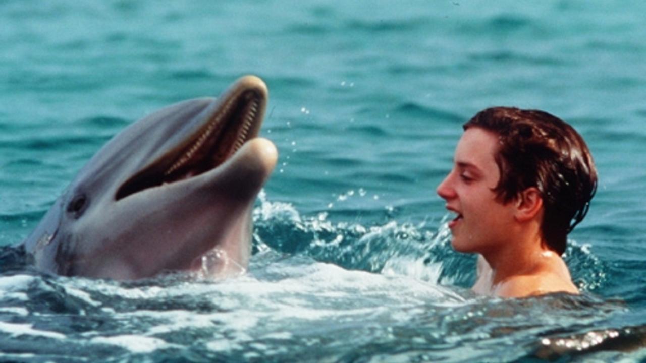 Flipper 1996
