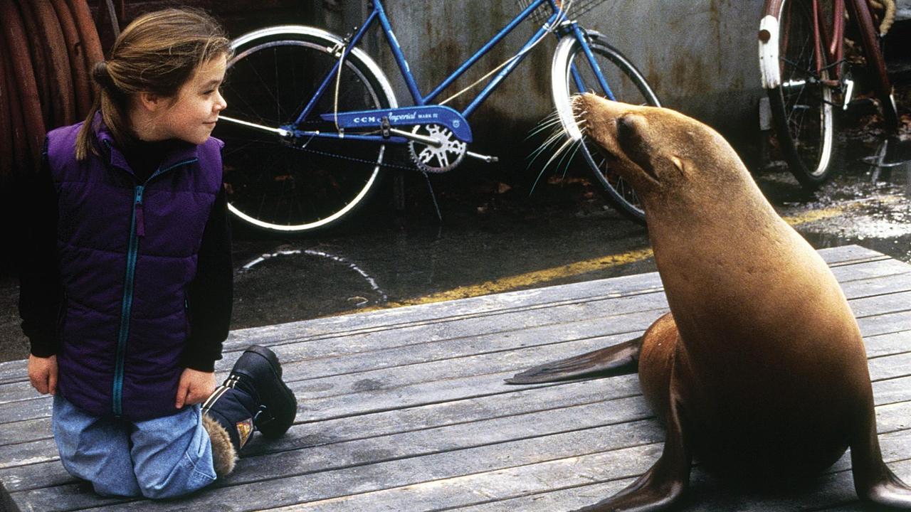 Andre The Seal Scannán