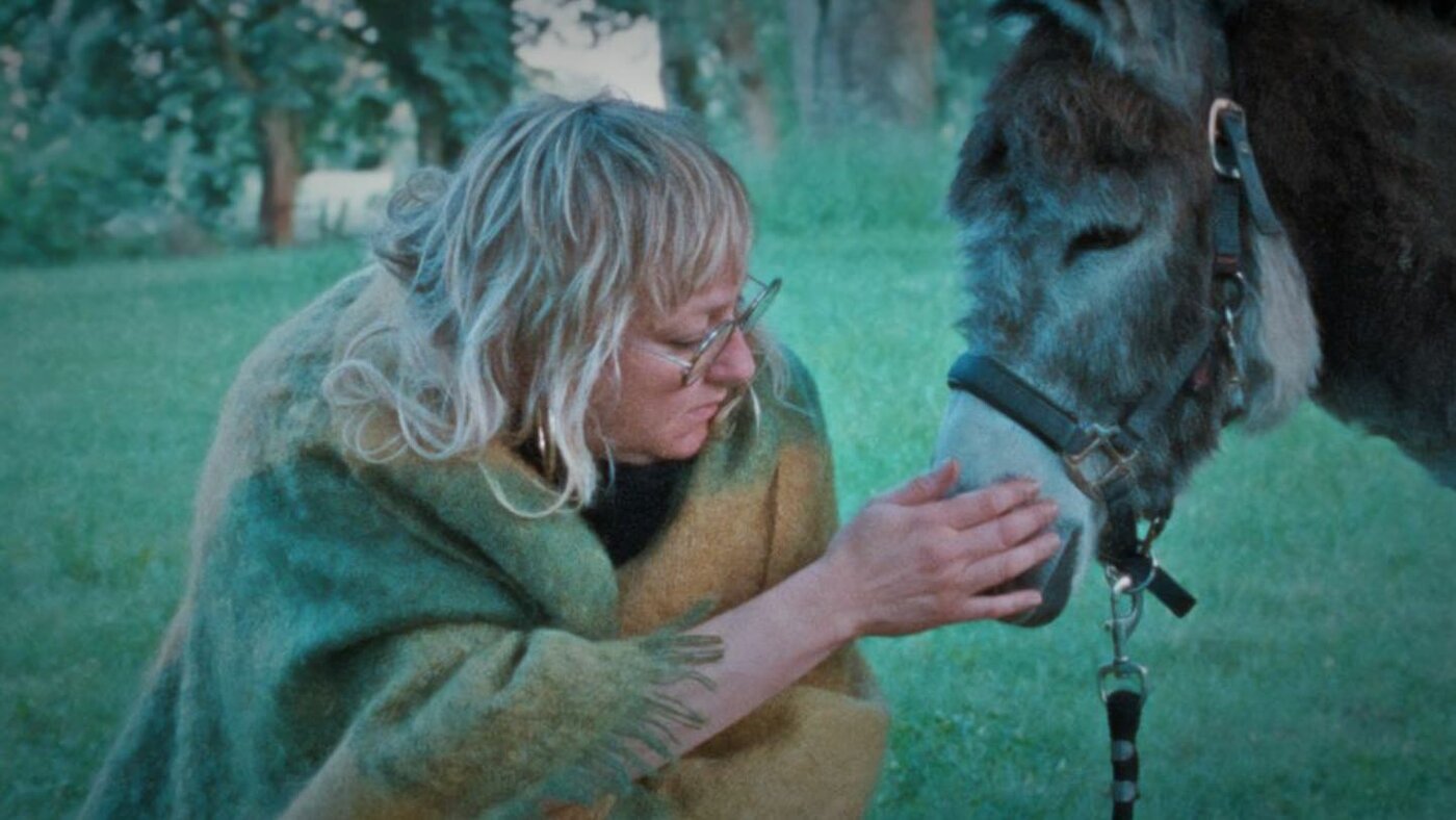 Locarno 2025 | Tasteless Tables: On “Donkey Days” on Notebook | MUBI