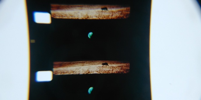 Darkness, Darkness, Burning Bright - Prelude (2022) | MUBI