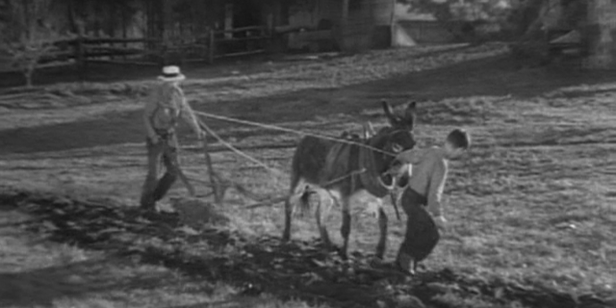 Our Daily Bread 1934 Mubi